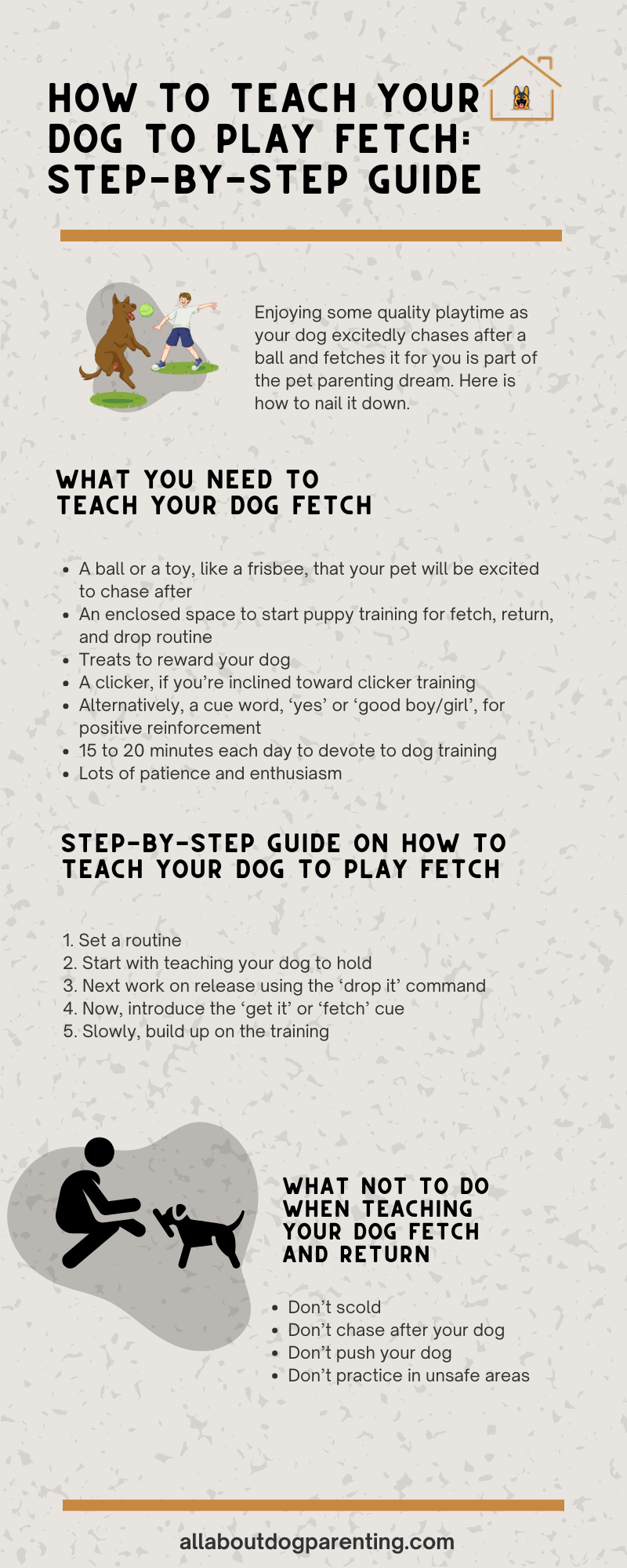 How to Teach Your Dog to Play Fetch: Step-by-Step Guide - All About Dog Parenting