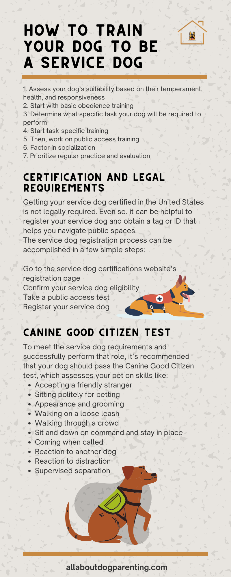 How to Train Your Dog to be a Service Dog (Easily) - All About Dog ...