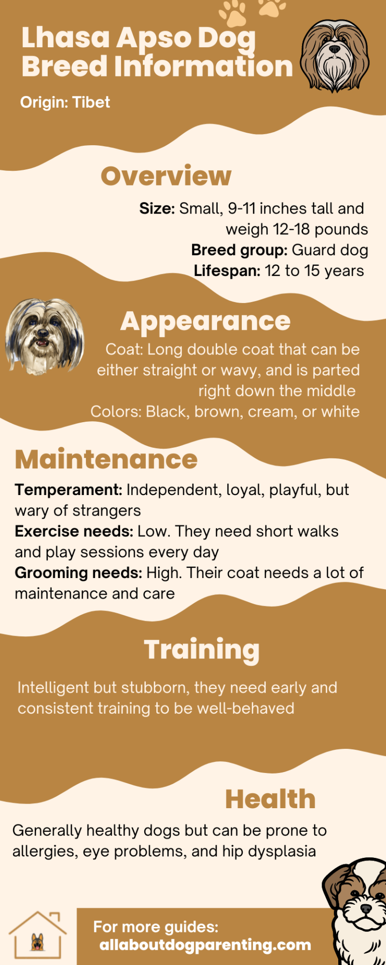Lhasa Apso Dog Breed — Facts and Personality Traits - All About Dog Parenting