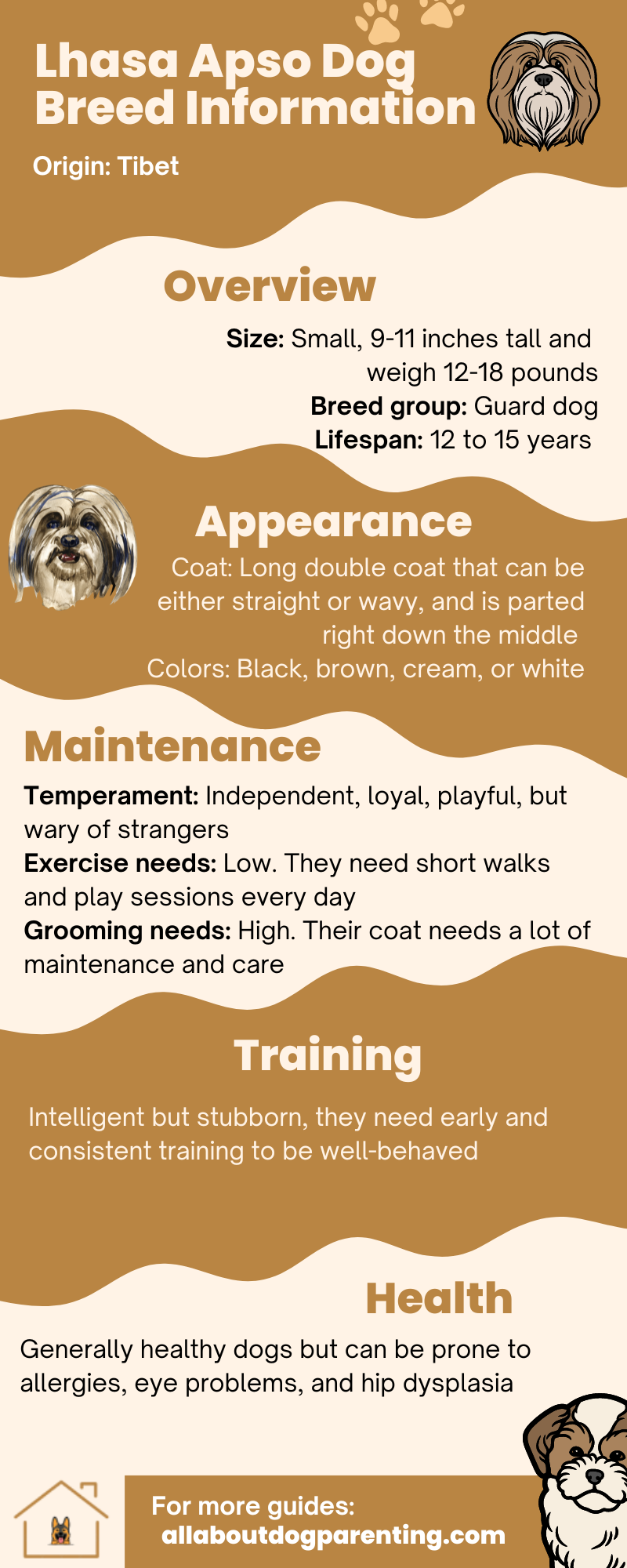 Lhasa Apso Dog Breed — Facts and Personality Traits - All About Dog Parenting