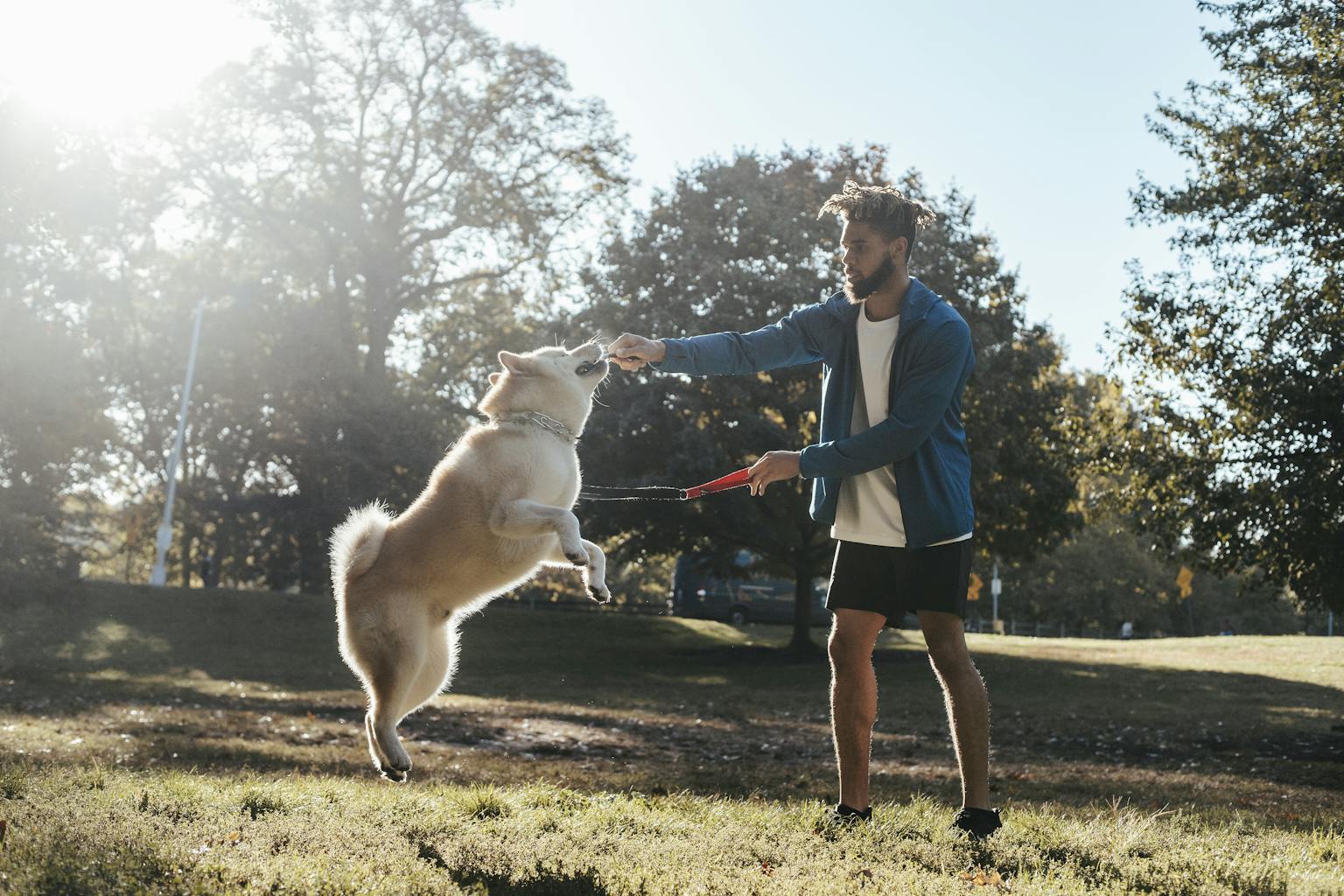 How to Teach Your Dog to Play Fetch: Step-by-Step Guide - All About Dog ...