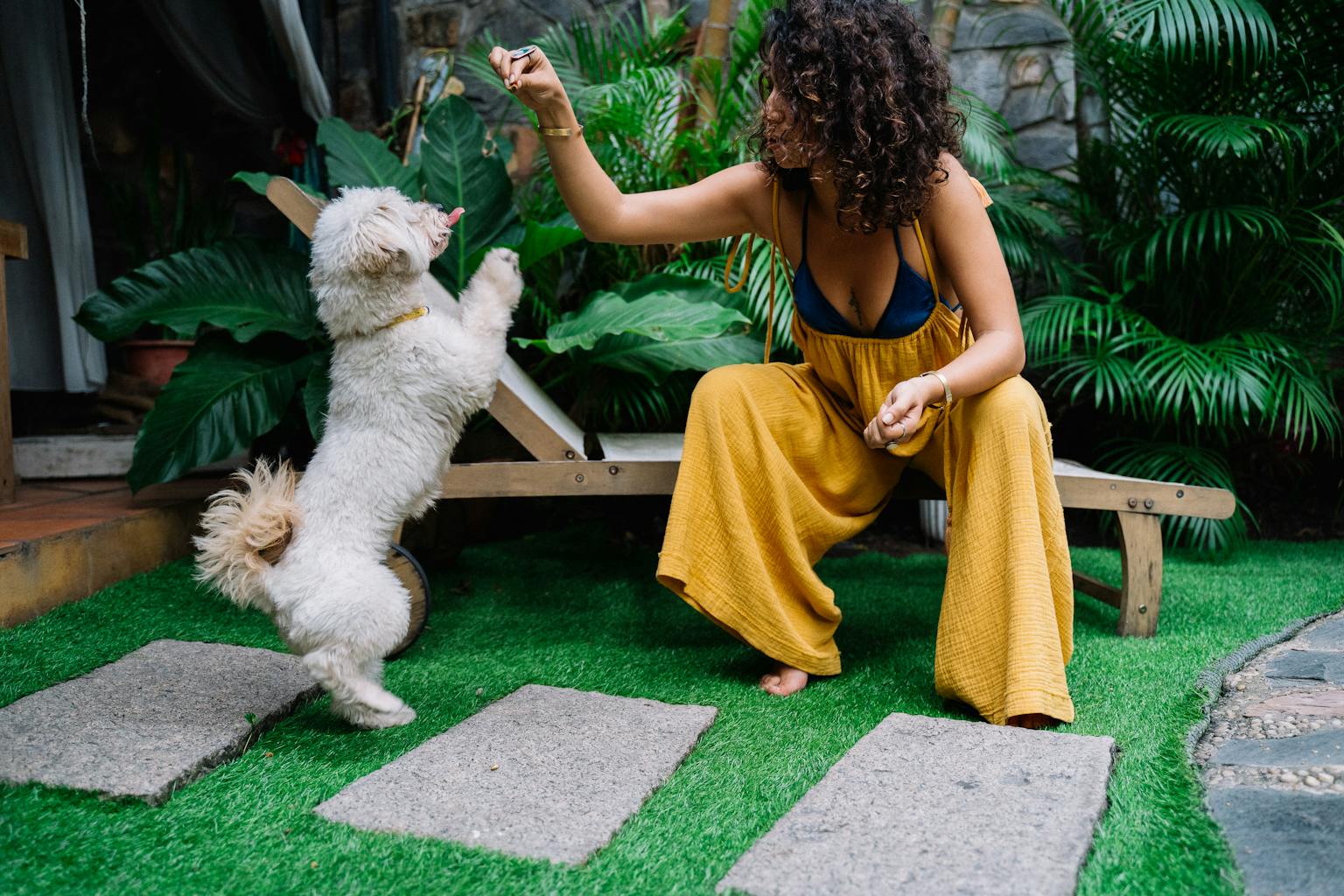 How to Teach Your Dog to Play Fetch: Step-by-Step Guide - All About Dog ...